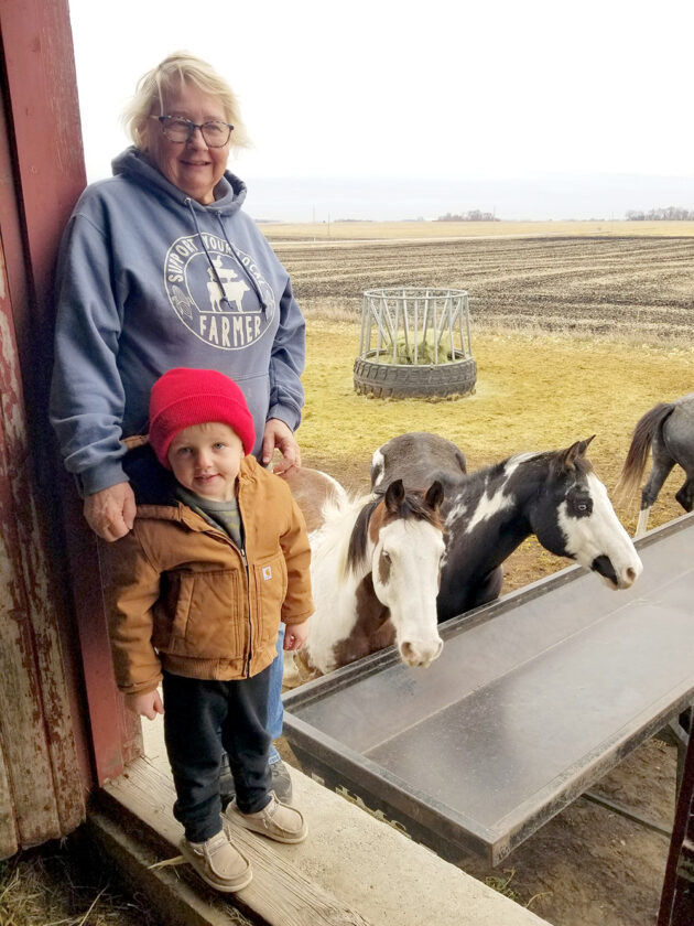 Ferguson family’s 1912 barn home to horses | News, Sports, Jobs ...